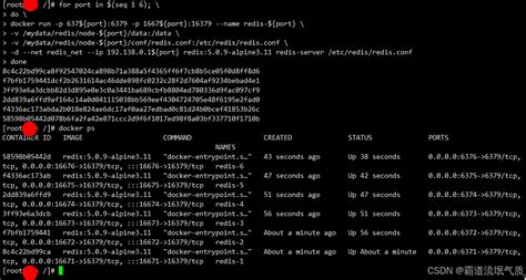 Docker中使用自定义网络方式实现redis集群部署与测试流程docker Network Create Redis Net Csdn博客