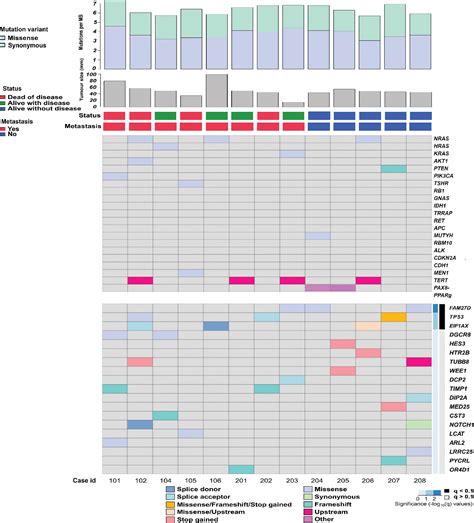 Table 1 From Whole Genome Sequencing Of Follicular Thyroid Carcinomas