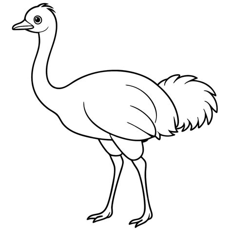 Emu Coloring Page Outline Vector Illustration Premium Ai Generated Vector