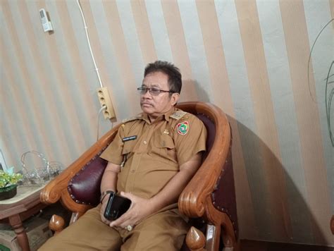 Virus Asf Penyebab Kematian Hewan Ternak