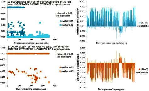 Codon Based Test To Determine The Type Of Selection Inferred By