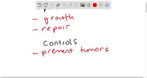 What Is Ecdysis And Why Is This Process Important Solvedlib