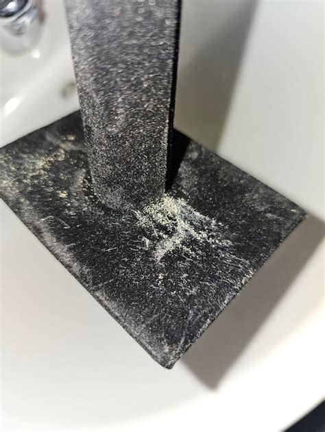 Hundreds Of Tiny Eggs In A Package From China Rwhatsthisbug