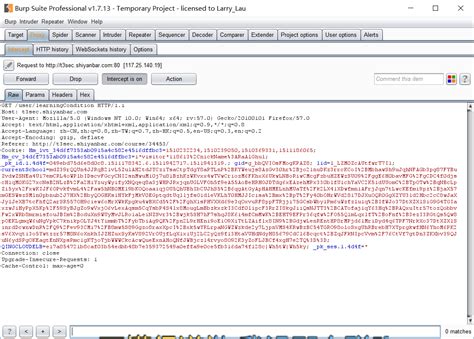 burp suite基础教学 之 target burpsuite scope csdn博客