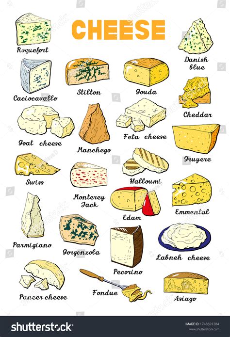 Types Of Cheese Chart