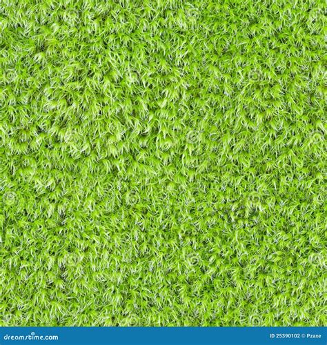 Seamless Square Texture Green Moss Royalty Free Stock Image