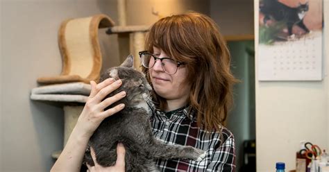 Tervis Lemmikloom Kui Tervisehädade Allikas