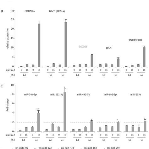 P53 Chip Seq And Chip Qpcr Igv Visualization Of Macs Chip Peak Download Scientific Diagram
