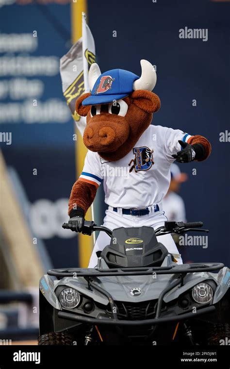 Durham Nc Durham Bulls Mascot Wool E Bull Entertains The Fans During