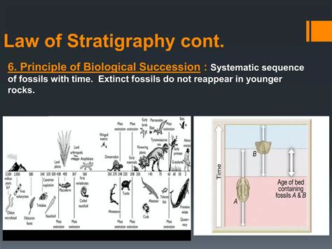 Principles Of Stratigraphy Pptx