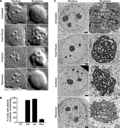 Nucleus Nucleolus On Twitter Quotname A More Iconic Duo