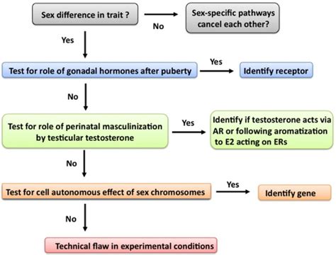 Resources Portfolio Gendered Innovation Alliance Staff Portal