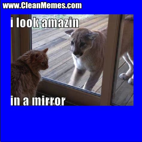 Funny Mirror Memes