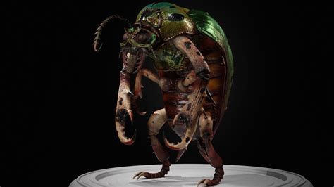 Bug Character