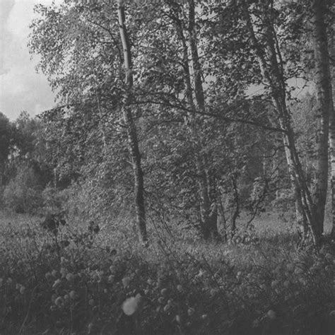 Empty Bed Youtube Music