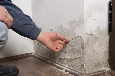 Tratamiento Para La Humedad En Paredes Humicontrol