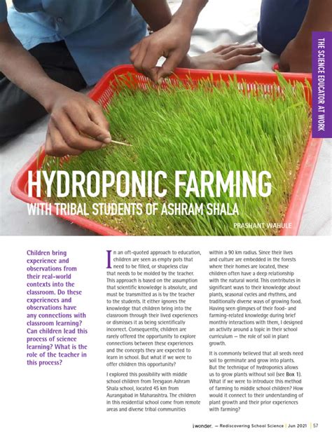 Article 10 Hydroponics Activity Sheet Download Free Pdf