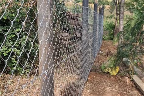 Recycled Plastic Posts 2025s Best Fencing Solution