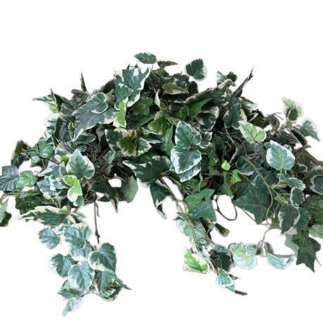 Rust Belt Revival Online Auctions Large Faux Variegated English Ivy Plant