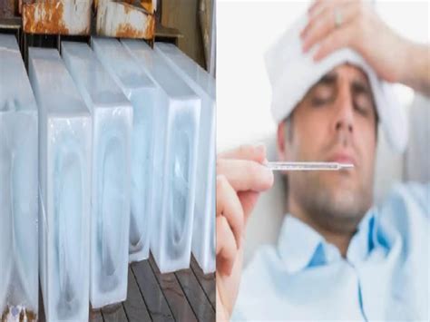 Life Is In Danger Due To Extreme Heat Body Temperature Reduced By