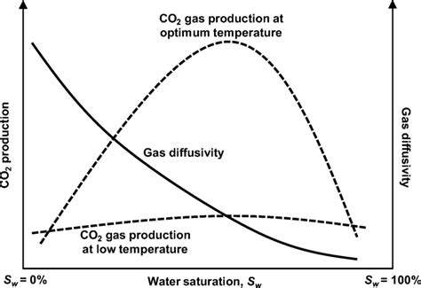 General Trends Showing The Correlation Of Co2 Production And Diffusion