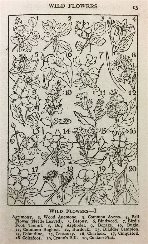 Making Remembering Fiona Hingston