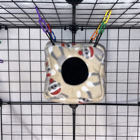How To Bond With Your Sugar Glider Step By Step Guide For New Owners