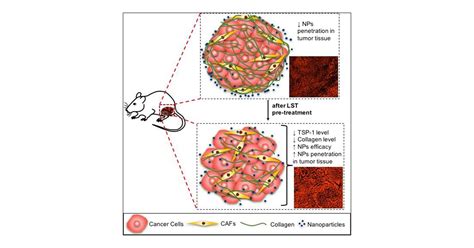 Antifibrotic Agent Mediated Tumor Microenvironment Modulation And