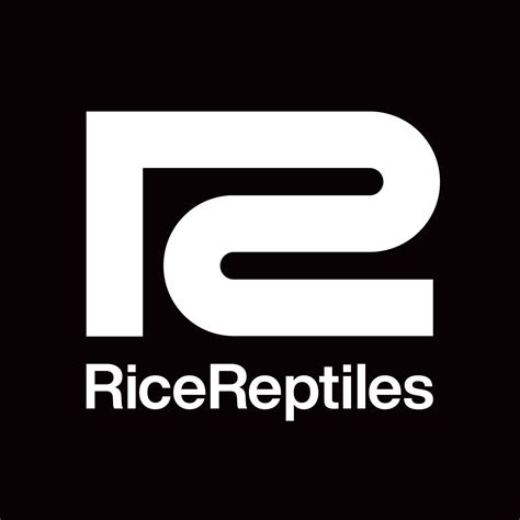 Ball Python Clutch Rr25033 By Rice Reptiles Morphmarket