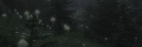 Request Guidelines Green Agent On Tumblr