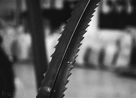 Anna Ivchenko Hurmeow • Instagram Photos And Videos Instagram Profile Instagram Photo And