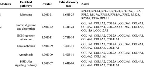 The Enriched Pathways Of Modules Download Table