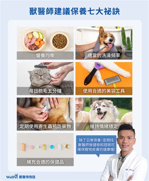 寵物皮膚保養怎麼做？獸醫師教你七大秘訣打造亮眼毛小孩