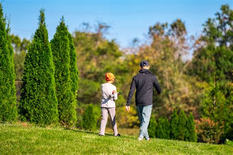 Why Does My Grass Pull Up Easily 5 Potential Reasons Turfs Up