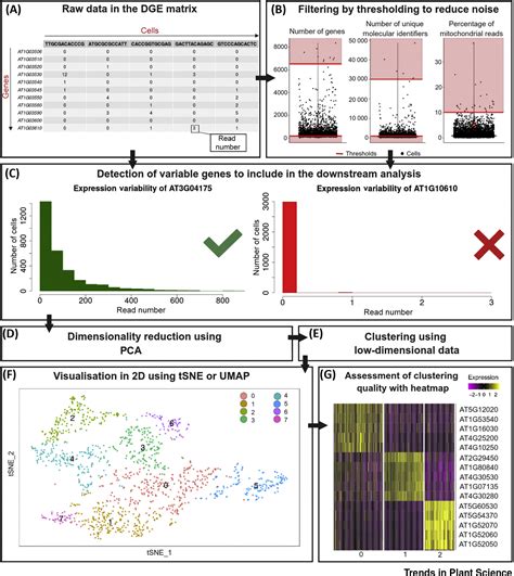 Single Cell Transcriptomics Service Mtoz Biolabs