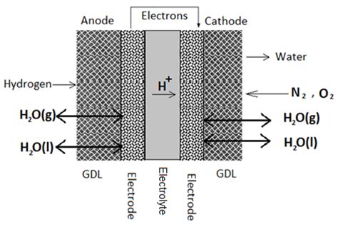 Fuel Cell Gas Diffusion Layer Material At Edith Drum Blog