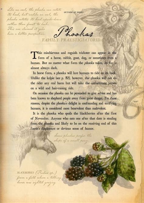The Púca Irish For Spirit Ghost Pooka Phouka Phooka Phooca Or