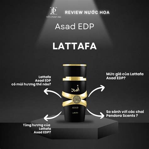 Review Nước Hoa Lattafa Asad Edp Tiến Perfume