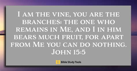 How To Hang Onto God John 15 5 Your Daily Bible Verse February 23 Todays Devotionals