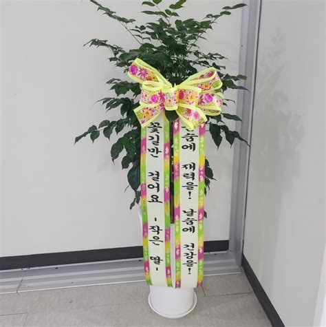 개업 축하 문구 100가지 센스 넘치는 재미있는 개업 축하 문구 모음 추천 플라워아이 꽃배달