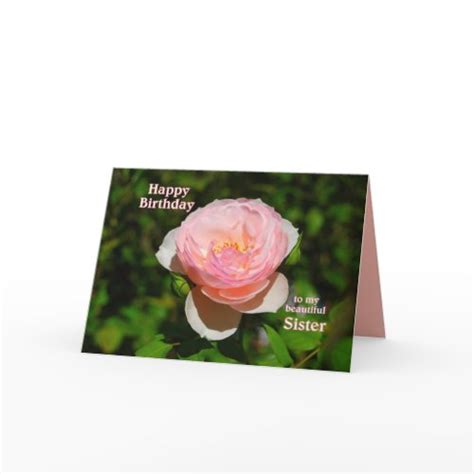 Pink English Rose Happy Birthday To Sister Its A Beautiful World