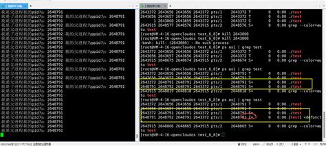 Linux知识回顾总结 进程状态 Csdn博客