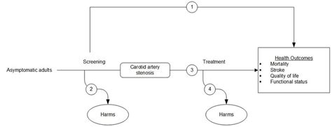 Draft Research Plan Asymptomatic Carotid Artery Stenosis Screening