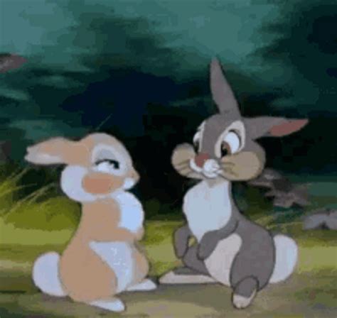 Rabbit S