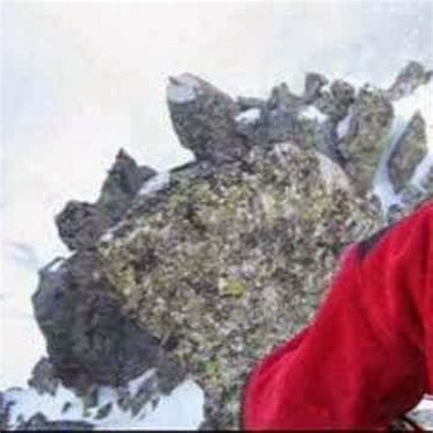 Michał Tomaszewski Youtube