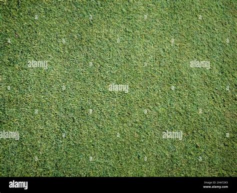 Green Grass Texture Background Grass Garden Green Background Football