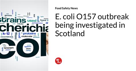 E Coli O157 Outbreak Being Investigated In Scotland Food Safety News