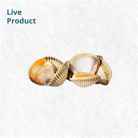 Live Cockles Seafood Society
