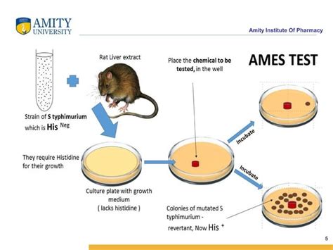 Ames Test Ppt Medical Tests Medical Health
