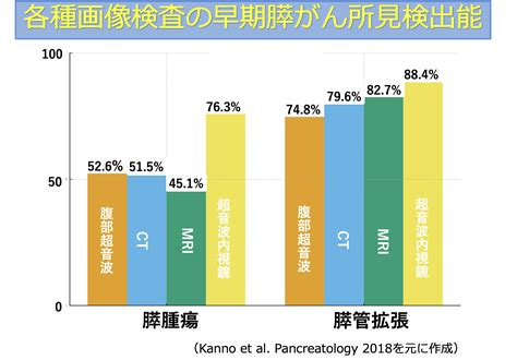 膵管内乳頭粘液性腫瘍（ipmn）と膵がんの関係とは？：ipmn由来膵がんとipmn併存膵がんについて解説｜みゆき消化器内視鏡クリニック｜多摩市永山の消化器内科・内視鏡検査